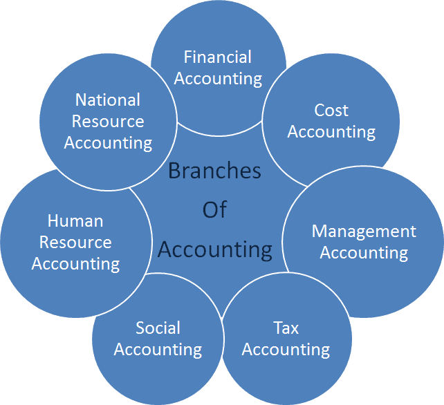 8 Branches of Accounting | Types of Accounting?
